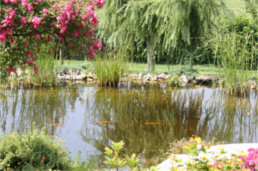 Définition des types de bassins – aquatechnobel