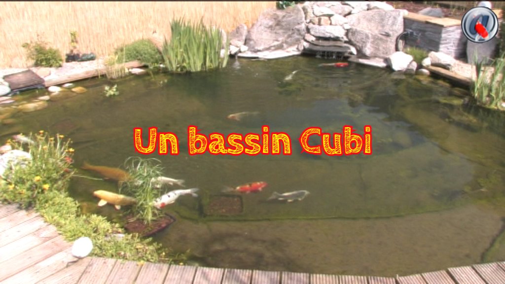 UN BASSIN CUBI – aquatechnobel